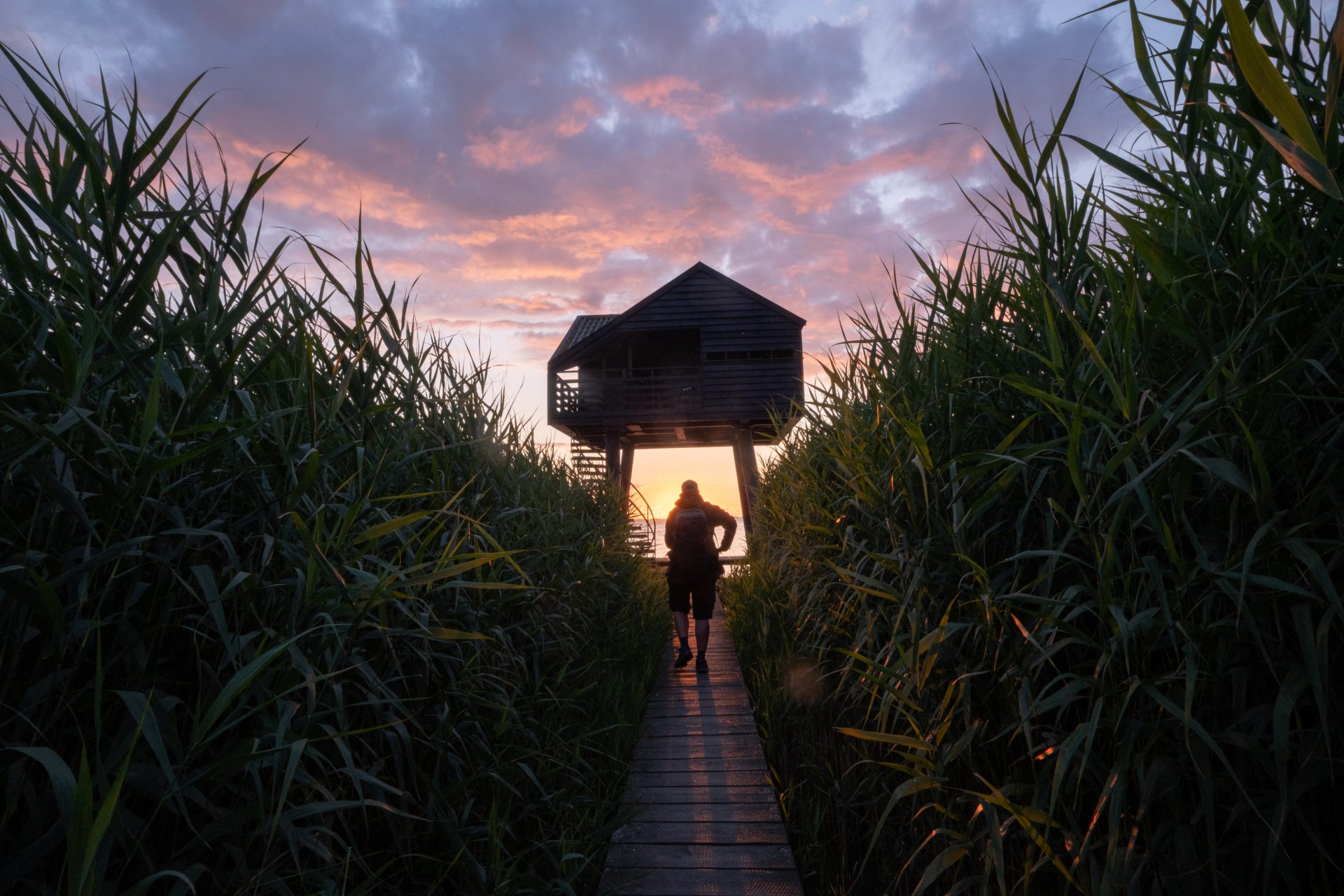 Negen dingen die je gedaan moet hebben in Nationaal Park Waddenzee ...