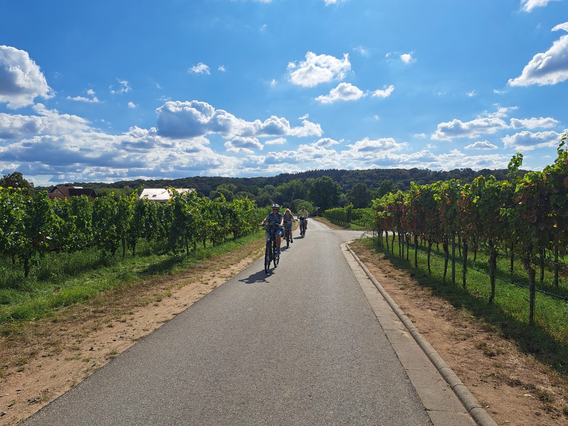 Verslag van de Main Radweg | Fietsen door een operettedecor ...